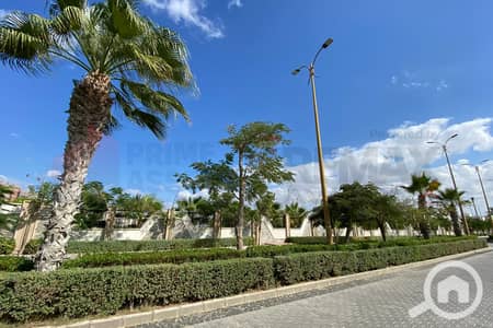 1 6 Bedroom Villas for Rent in Al Bitash, Agami | Bayut Egypt