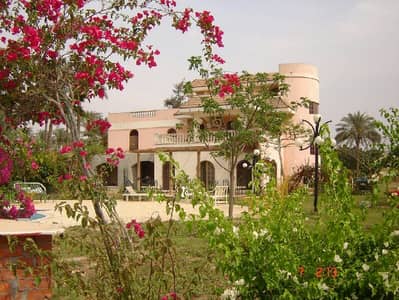 0 Agricultural Lands for Sale in Minya, Egypt | Bayut Egypt